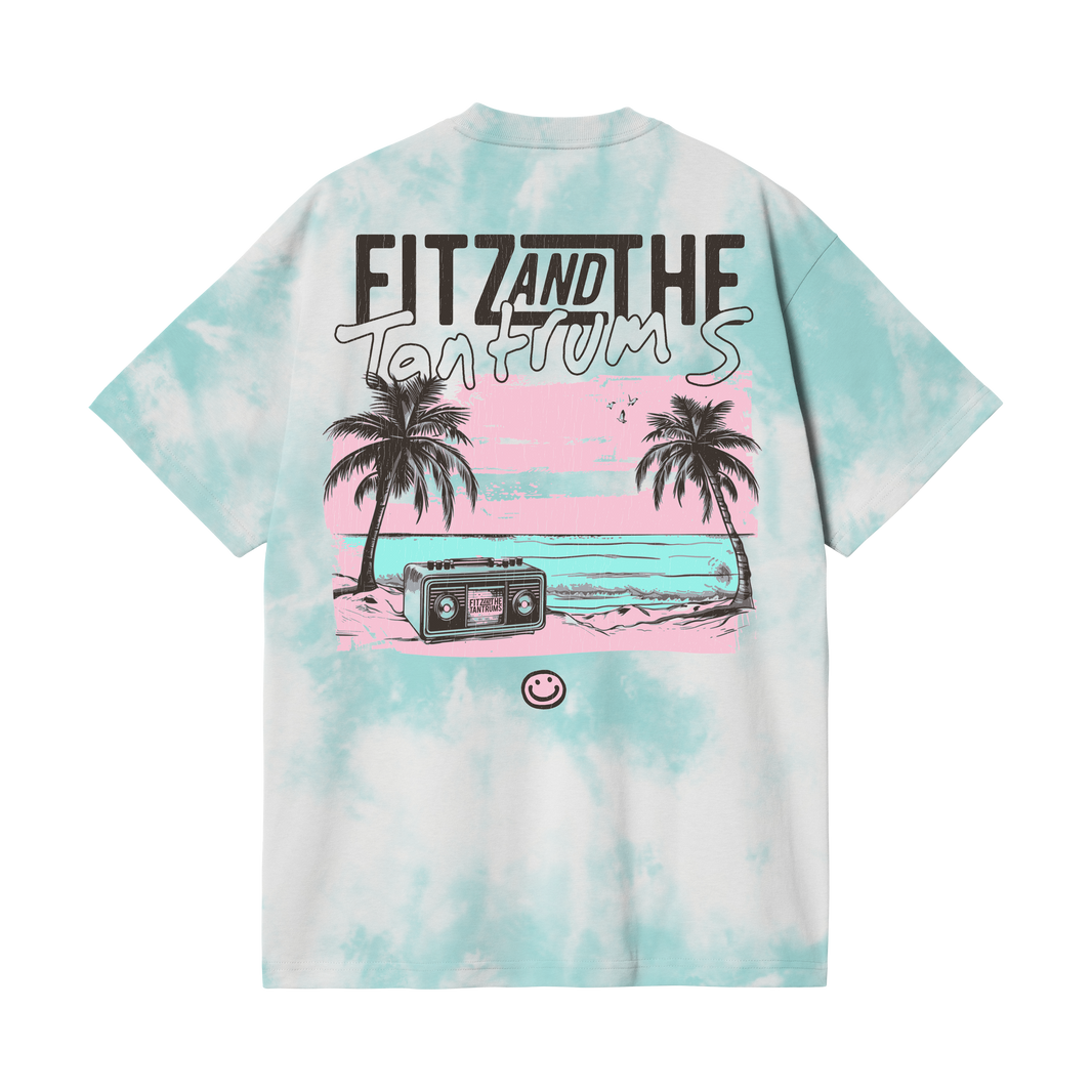 Home page – Fitz & The Tantrums